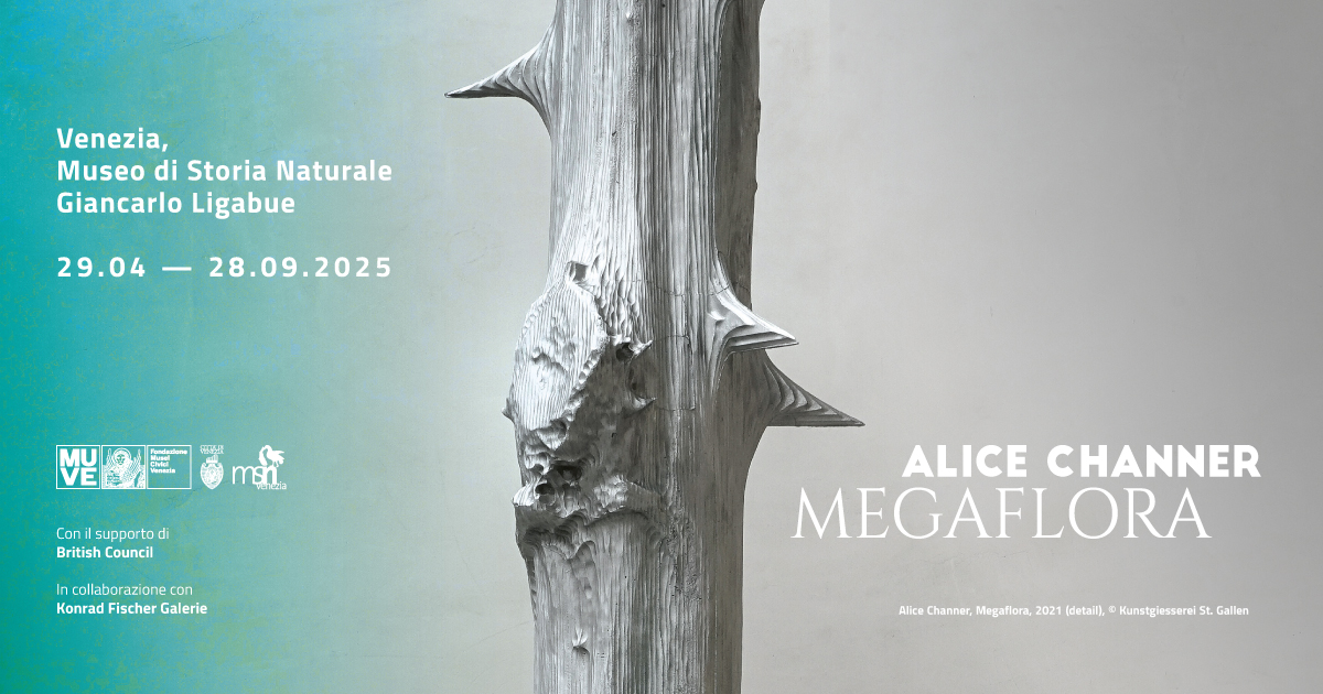 Presentation ALICE CHANNER: Megaflora | Museo di Storia Naturale di Venezia
